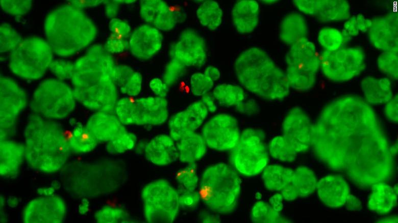 Space Education & Awareness Drive